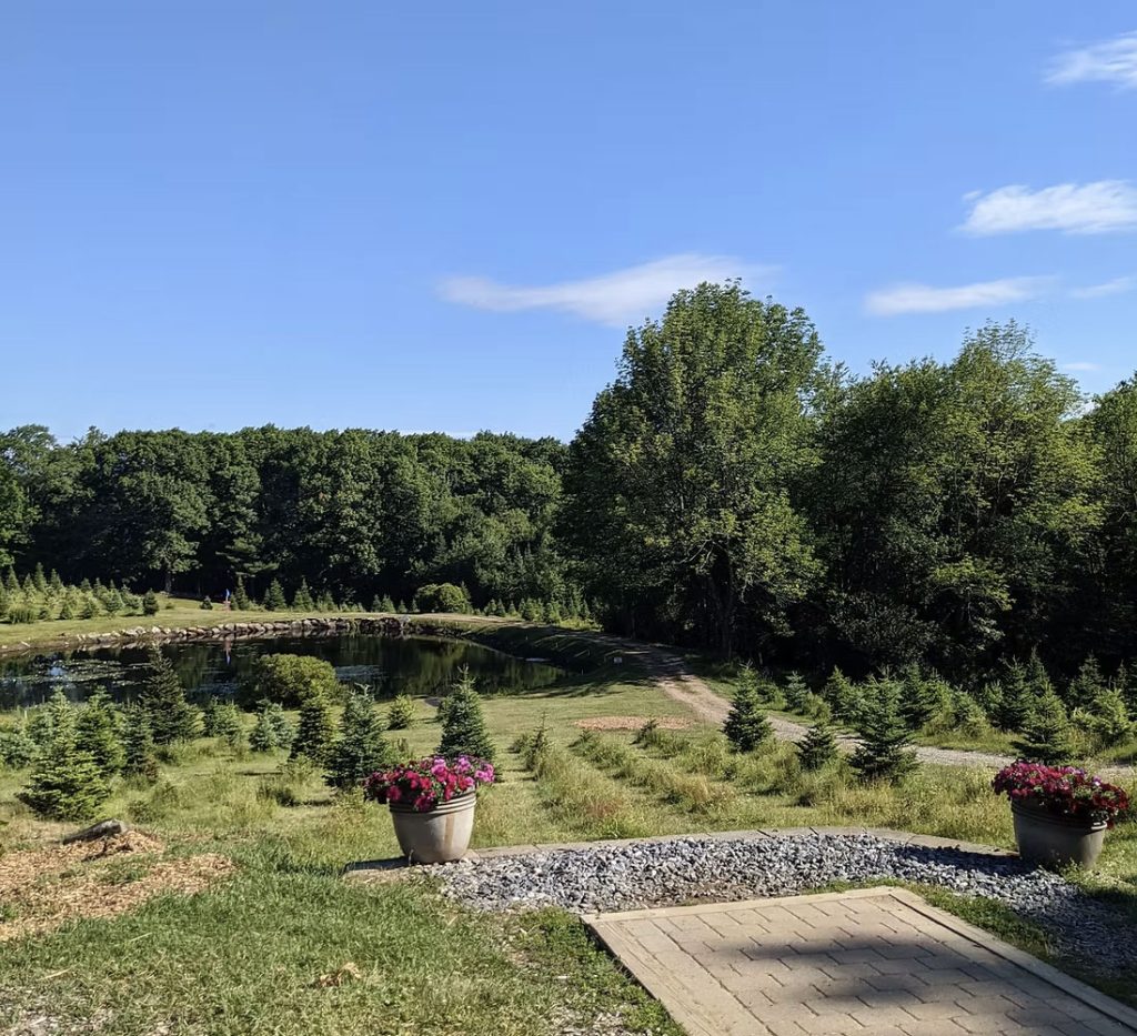 Maple Hill Layouts - Maple Hill Disc Golf